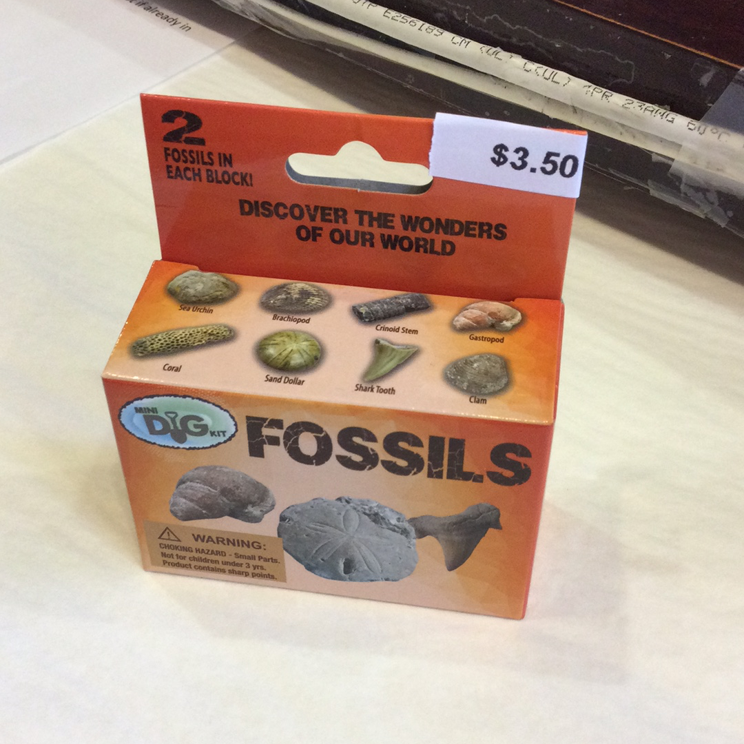 Fossils Dig Kit Activity Set – Moby Dick Nauticals